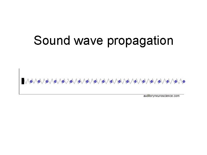 Hearing Things How Your Brain Works Week 5