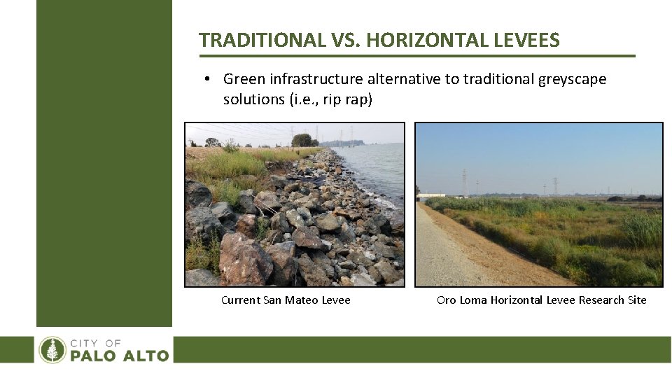 PALO ALTO HORIZONTAL LEVEE PILOT PROJECT September 2020
