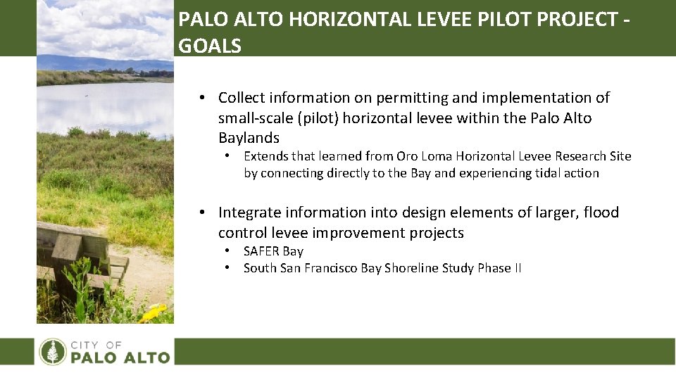 PALO ALTO HORIZONTAL LEVEE PILOT PROJECT September 2020