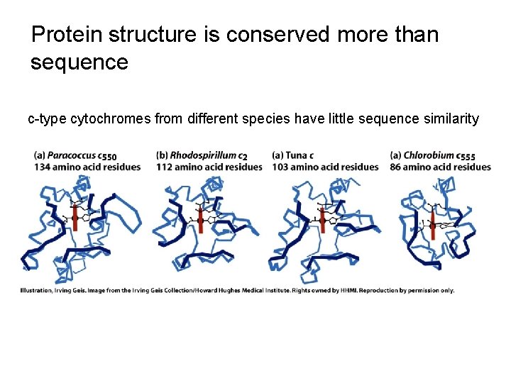 Tertiary structure combines regular secondary structures and loops