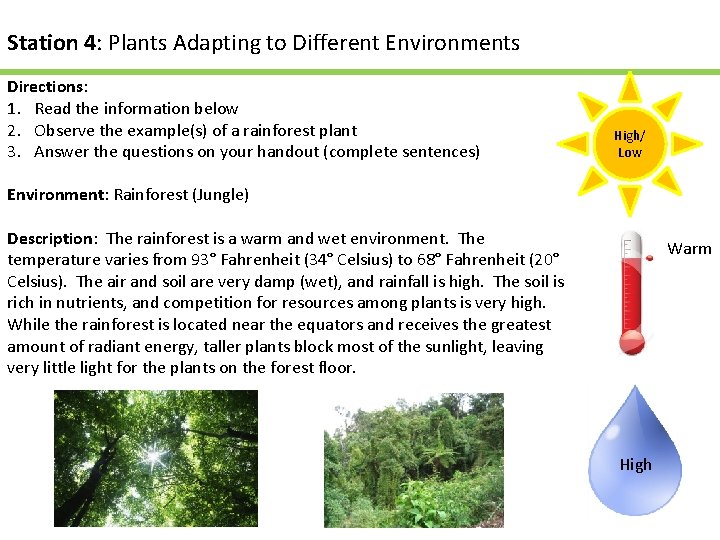 Station 4 Plants Adapting to Different Environments Directions