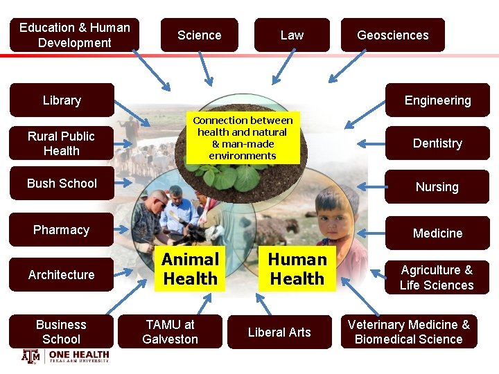 One Health Grand Challenge Major Themes for Transformative