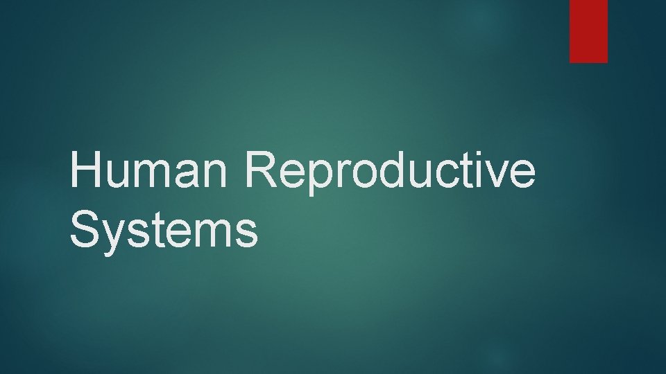 Human Reproductive Systems Asexual vs Sexual Reproduction Life
