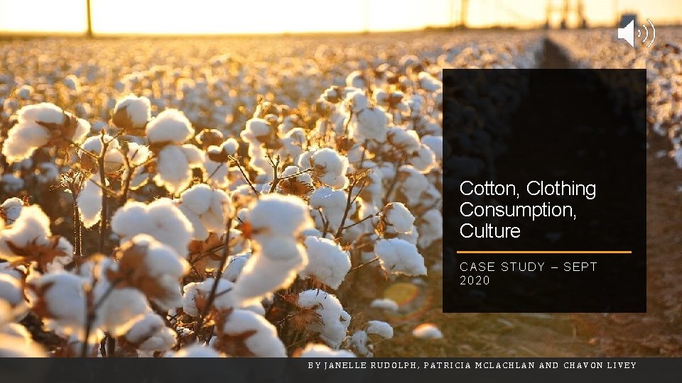 Cotton Clothing Consumption Culture CASE STUDY SEPT 2020