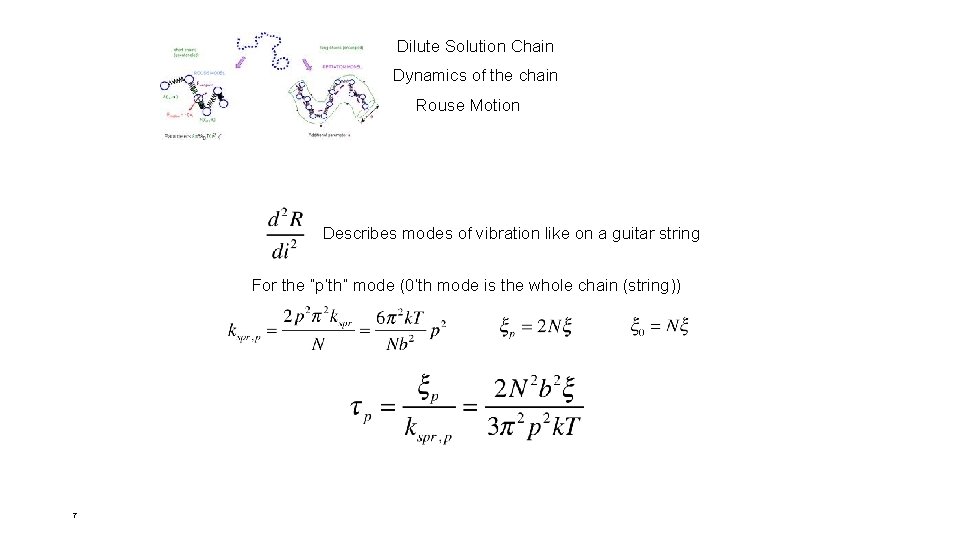 Dilute Solution Chain Dynamics of the chain 1
