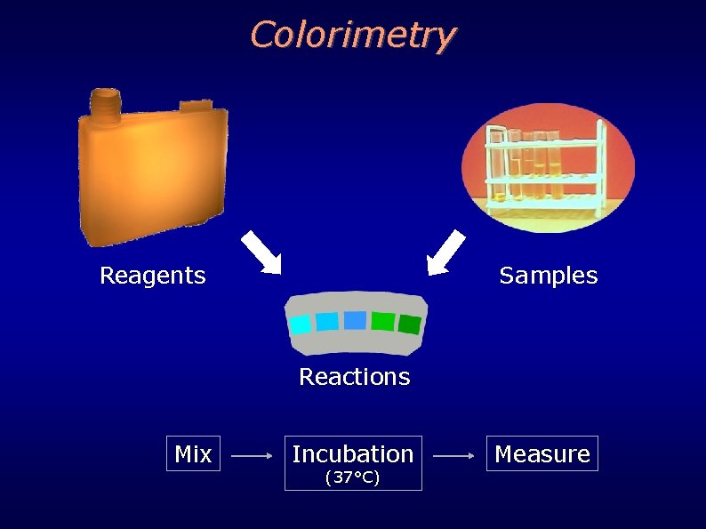 Dr Ariel Weisz RD Department Metrolab Argentina Distributor
