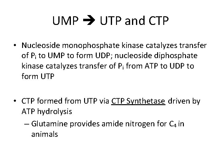 Nucleic Acids Metabolism Nitrogenous Bases Planar aromatic and