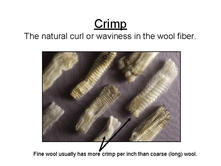 An introduction to wool judging By Susan Schoenian