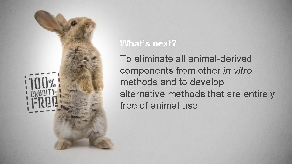 Crueltyfree hazard assessment replacing foetal bovine serum in