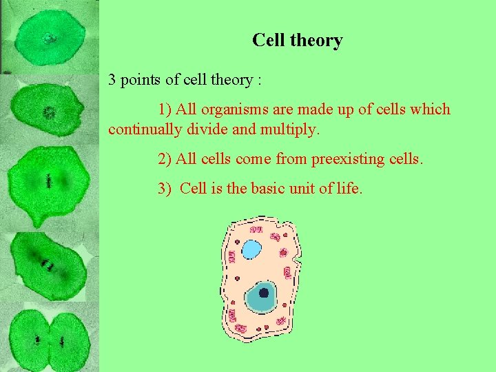 Unit 4 Lesson 5 Cell Growth and Cell