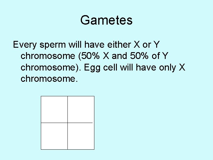 Chapter 3 8 How is gender determined X