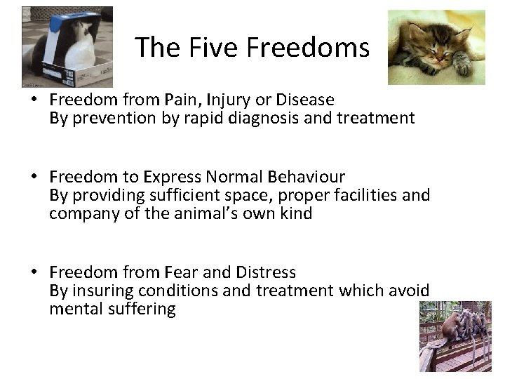 The Five Freedoms Objectives Be able to list