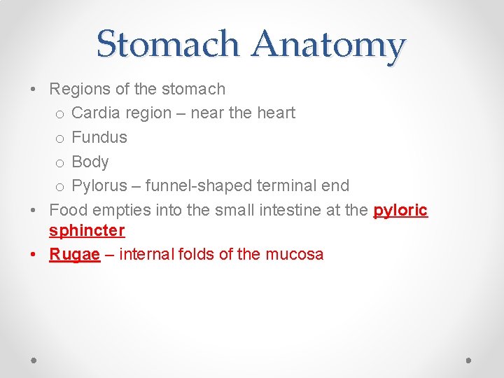 The Digestive System Digestion o Breakdown of ingested