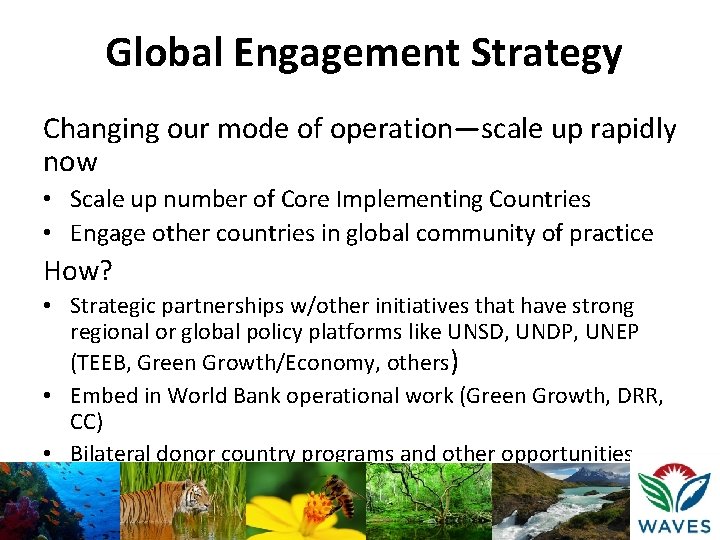 WAVES Global Partnership Sofia Ahlroth Expert Group Meeting