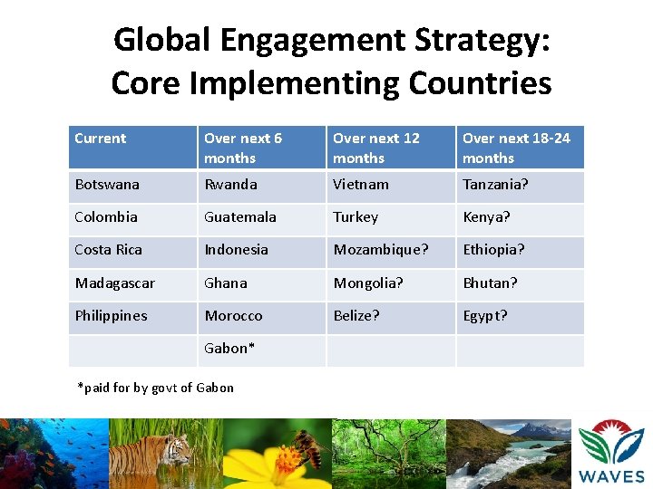 WAVES Global Partnership Sofia Ahlroth Expert Group Meeting
