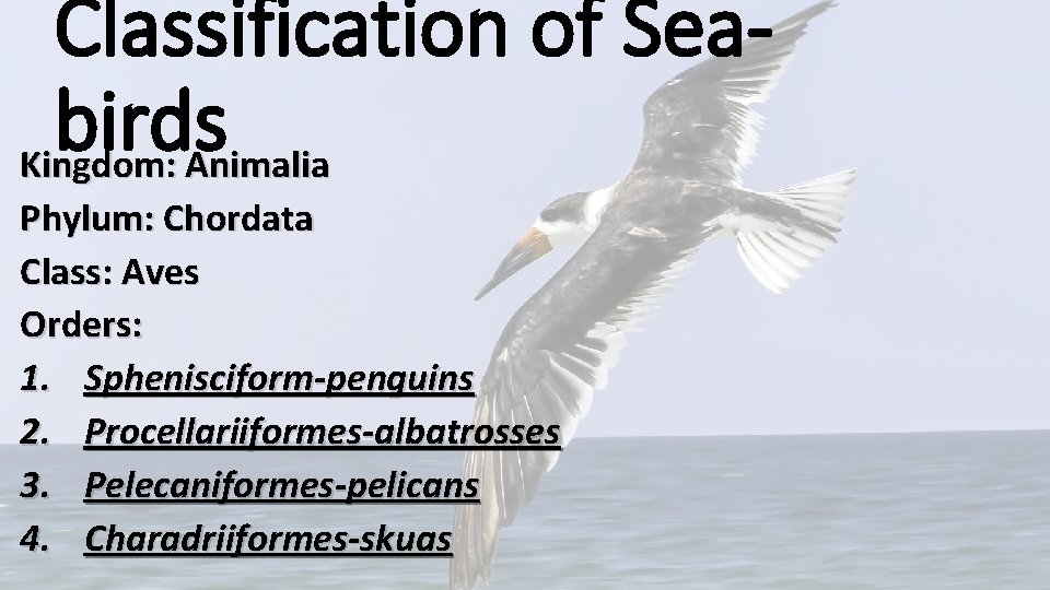Ecological and Economical Importance of SeaBirds Assignment of