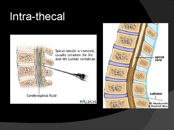 Aims To provide basic knowledge on safe and