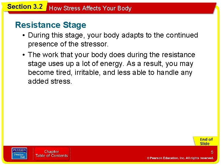 Section 3 2 How Stress Affects Your Body