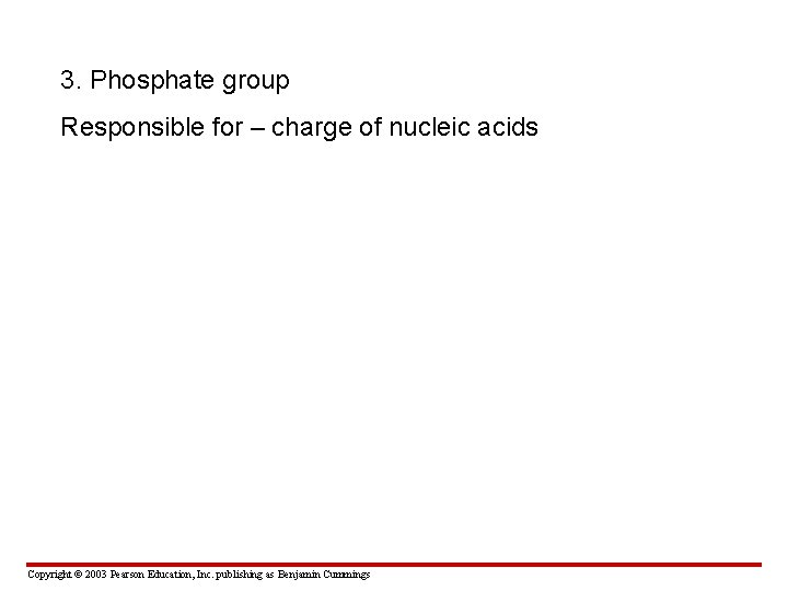 Chapter 10 Molecular Biology of the Gene Power
