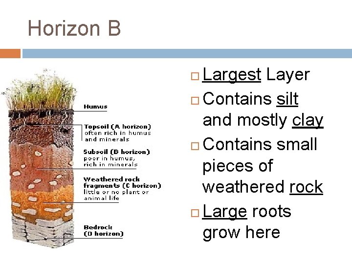 What eventually happens to sediments Soil is formed