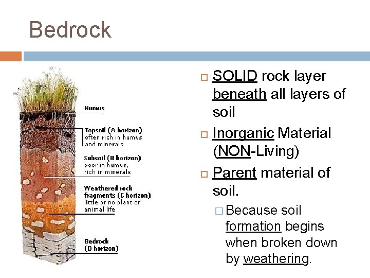 What eventually happens to sediments Soil is formed