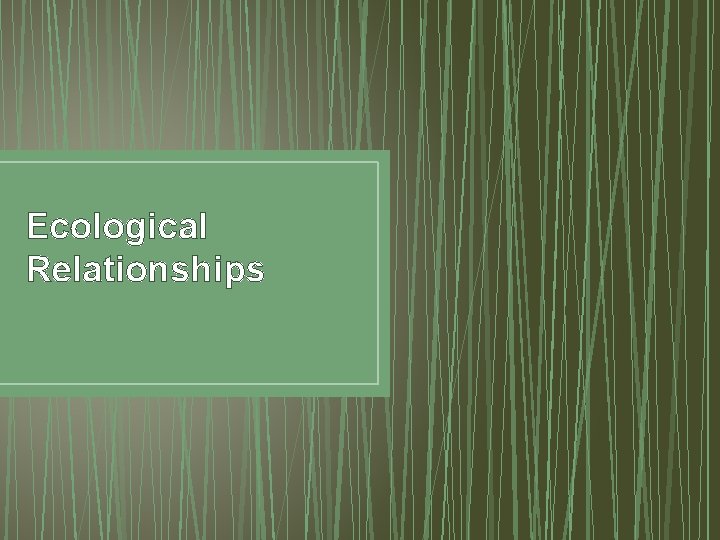 Ecological Relationships Ecological Relationships Population Dynamics ...
