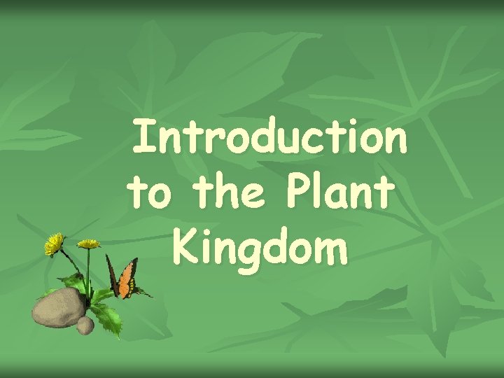 Introduction to the Plant Kingdom Plant Divisions Taxonomy