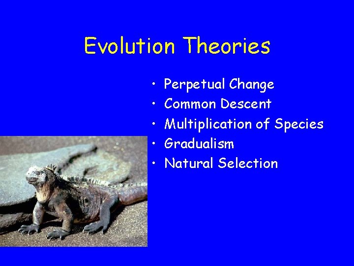 Vertebrate Zoology Chapter 1 How do we learn