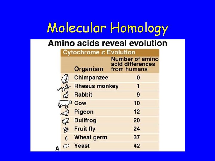 Vertebrate Zoology Chapter 1 How do we learn