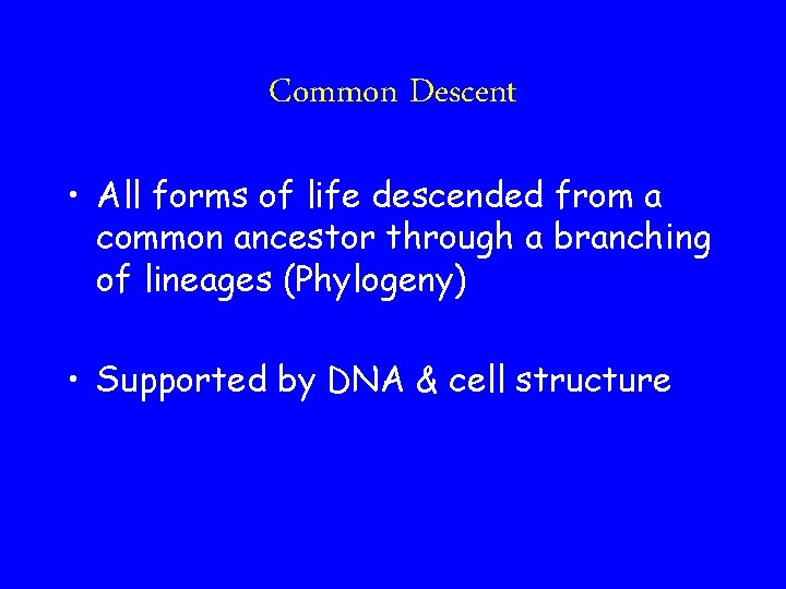 Vertebrate Zoology Chapter 1 How do we learn
