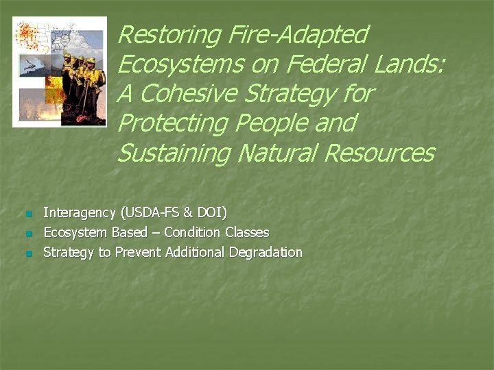 Fire Management Policies The justification for actions Robin