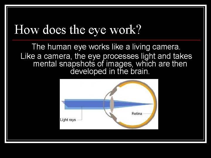 The Eye and Common Eye Problems Anatomy of