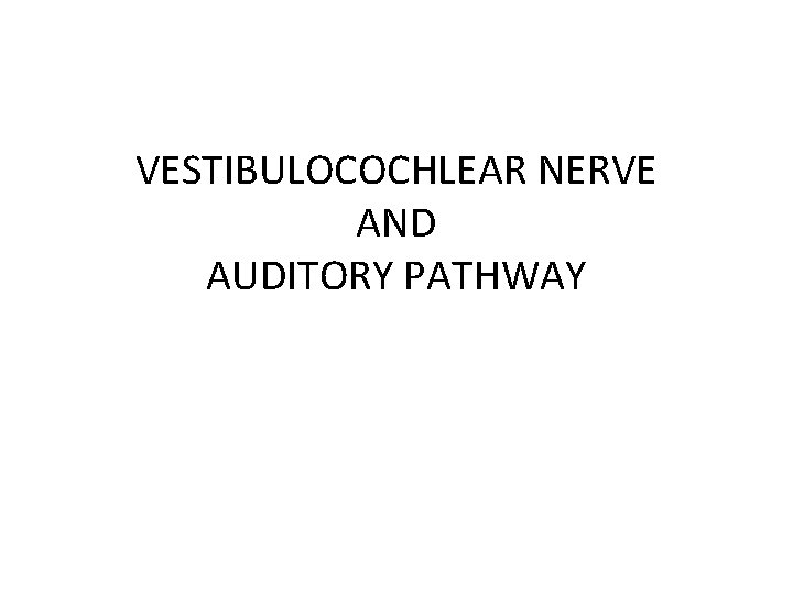 VESTIBULOCOCHLEAR NERVE AND AUDITORY PATHWAY VESTIBULOCOCHLEAR NERVE It