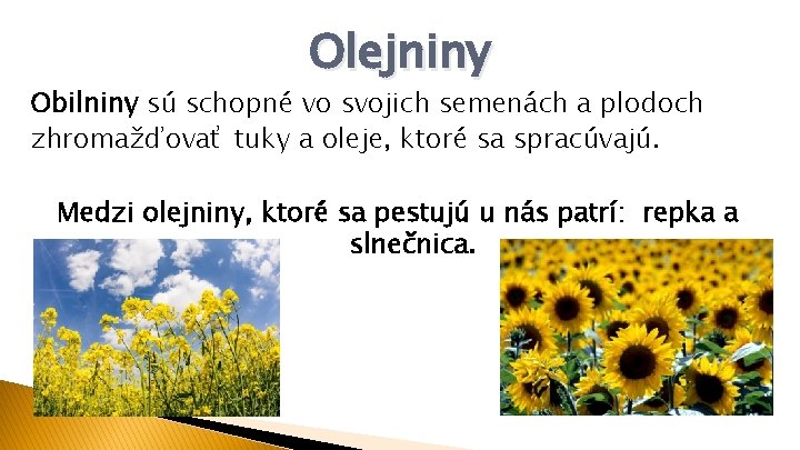 Pon plodiny lovek pestuje na poliach mnoho rastln