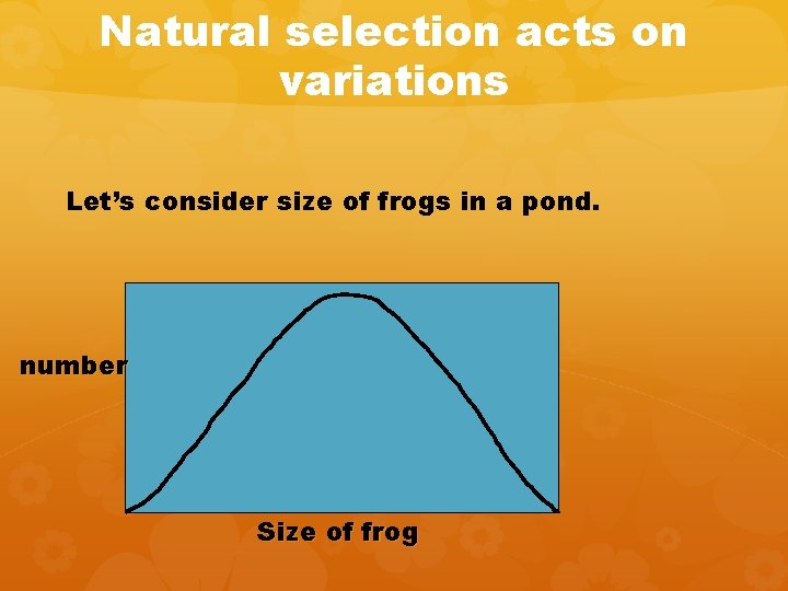 Evolution and Natural Selection 5 4 How does