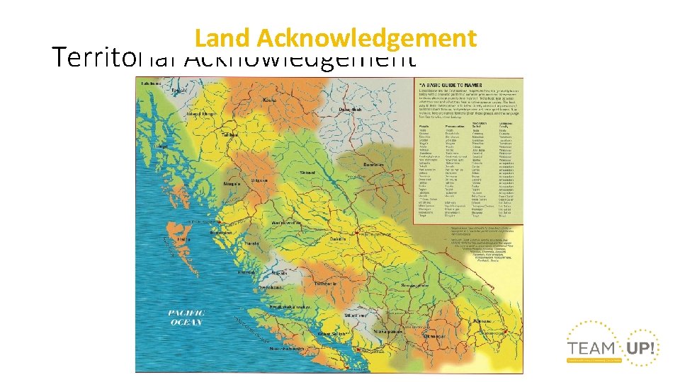 Insert TeamBased Care BC Team Up logos Partners