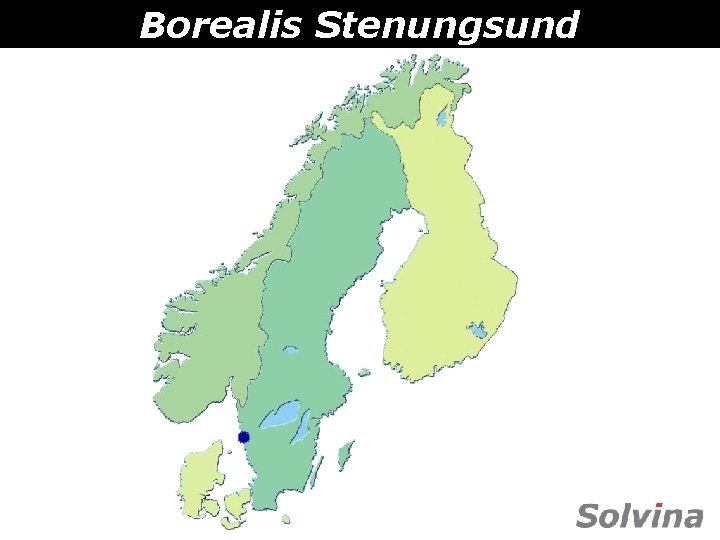 Steam Net Simulation at Borealis Cracker Site in