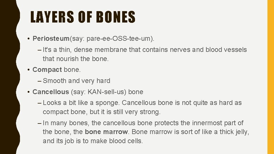 THE BODY SKELETAL SYSTEM We know there are