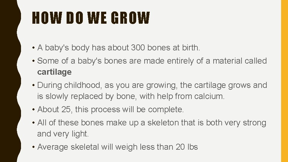 THE BODY SKELETAL SYSTEM We know there are