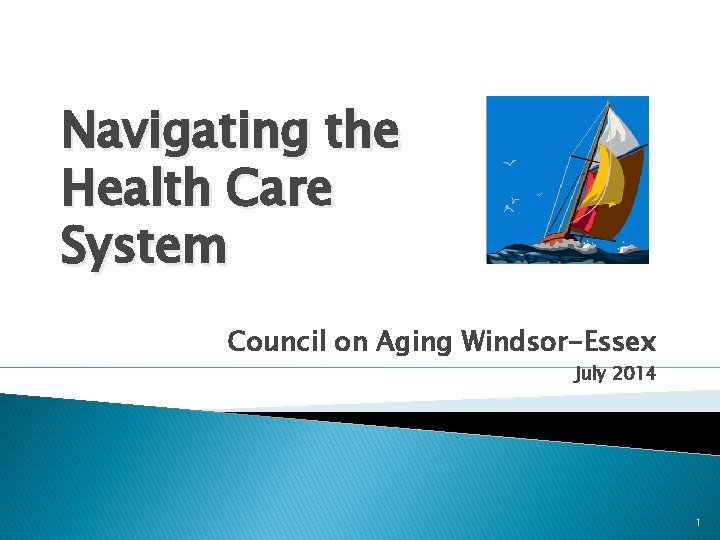Navigating the Health Care System Council on Aging