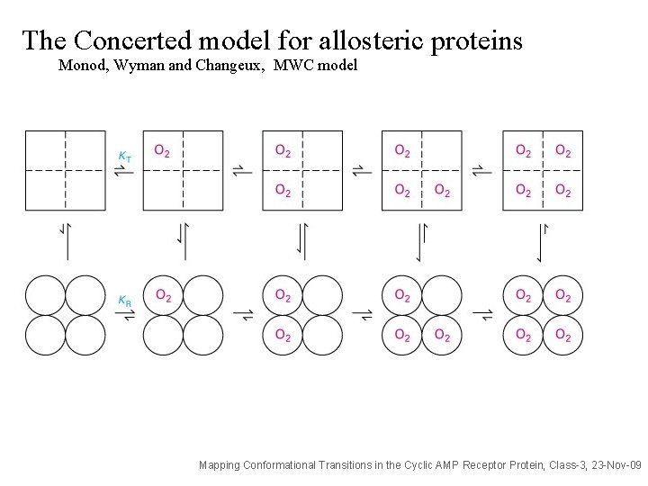 Mapping Conformational Transitions in the Cyclic AMP Receptor