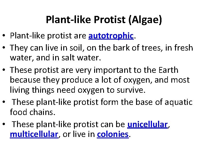 What is a Protist The protists form a