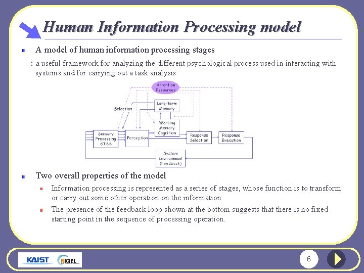 Human Performance Visual Momentum Ji Tae Kim 2005
