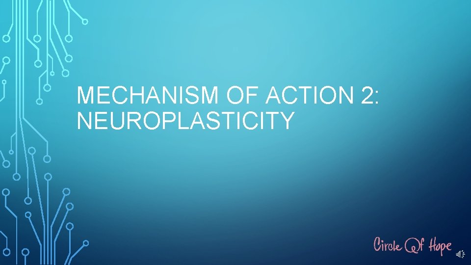 MECHANISM OF ACTION 2 NEUROPLASTICITY NEUROPLASTICITY The brain