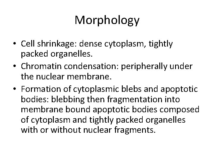 Apoptosis Hussam Telfah MBBS FRCPath Morphology Cell shrinkage