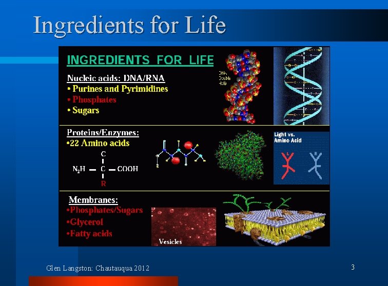 Signs of Life Prebiotic Chemistry New Discoveries with