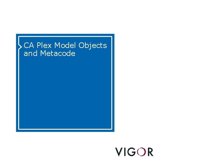 CA Plex Model Objects and Metacode for Code
