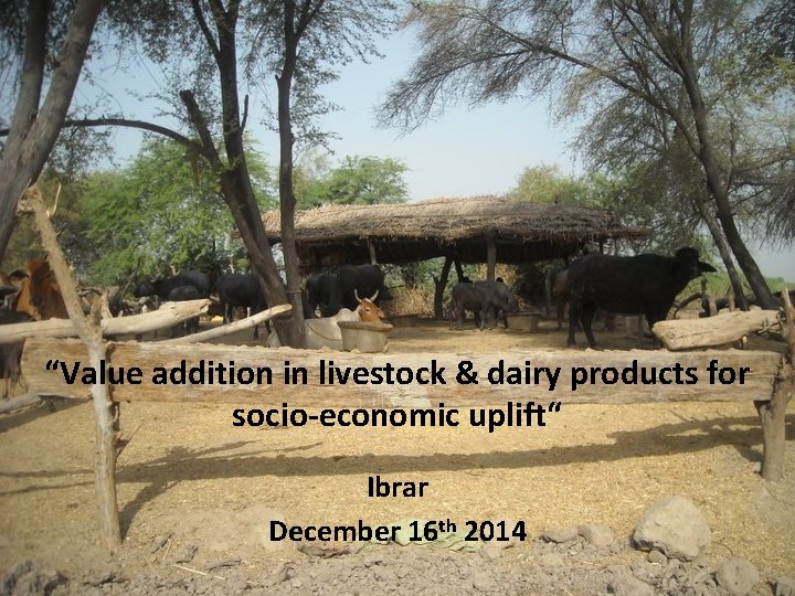 Value addition in livestock dairy products for socioeconomic