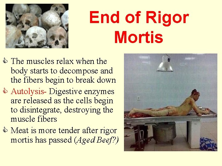 Human Decompsition There is a brief but very