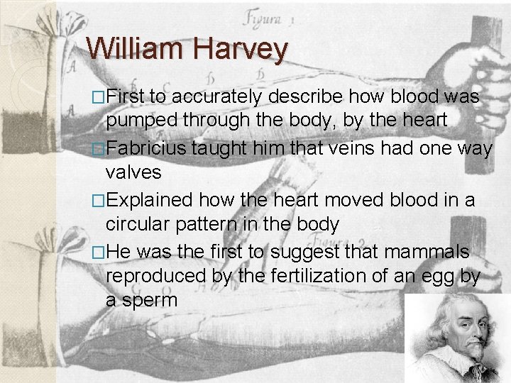History of Anatomy and Physiology 16 th Century